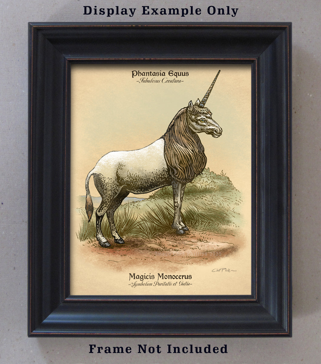 Unicorn Study – ChetArt